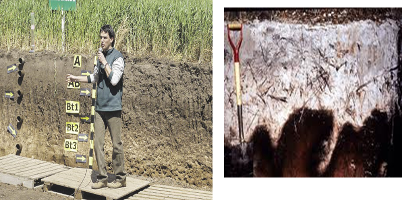 Taxonomía de suelos.