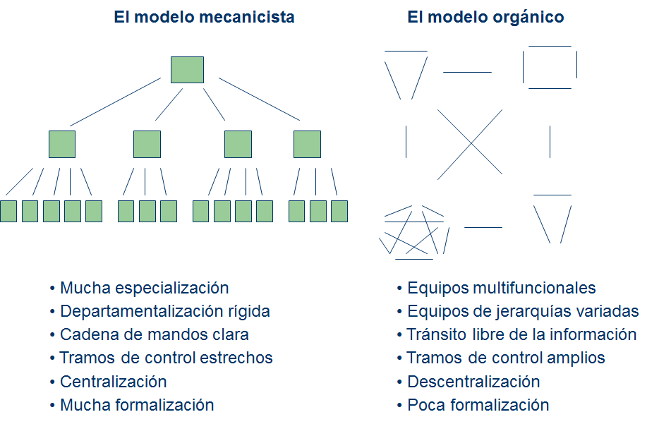 ¿ POR QUE DIFIEREN LAS ESTRUCTURAS?